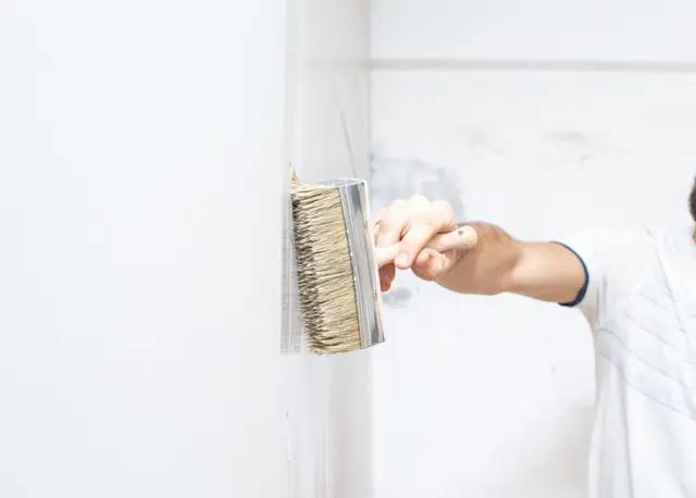 Dampstop Advanced | Waterproof Paint for Walls |Berger Paints