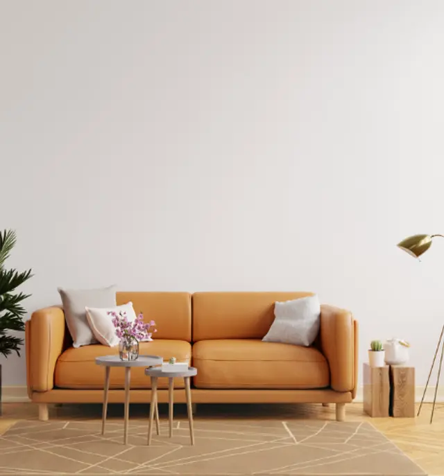 Living Room Wall Colour Combinations - Berger Paints