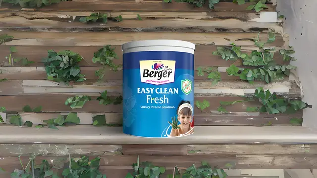Wall Paint Finder Tool | Find Paint by Surface | Berger Paints