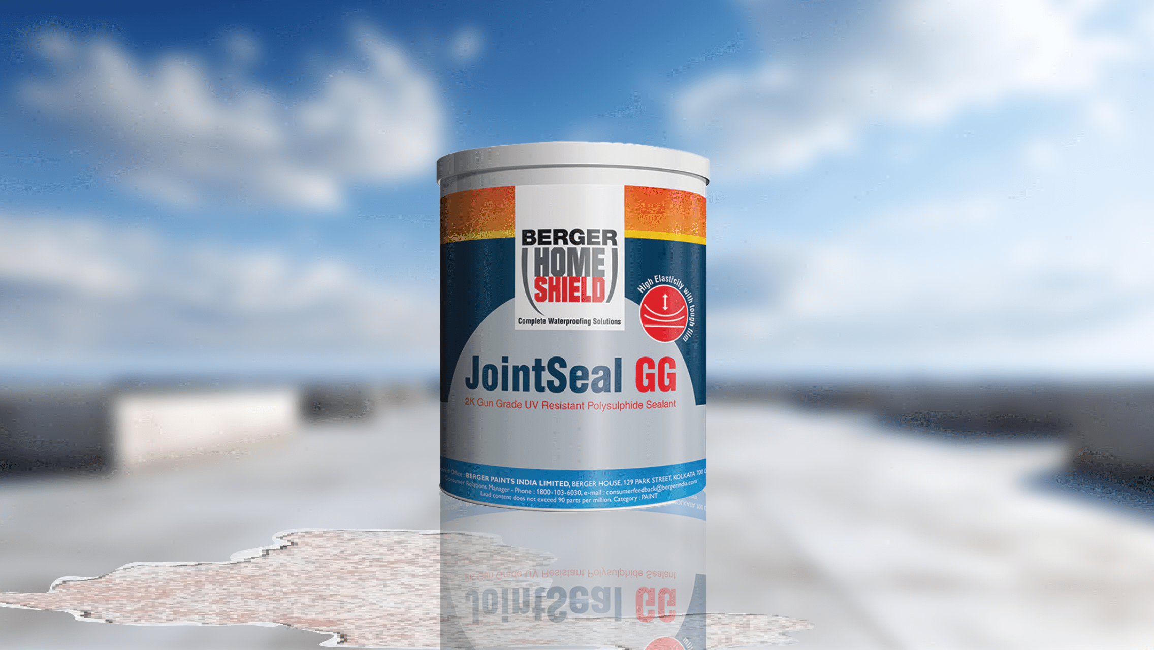 HomeShield Jointseal GG Sealant | Berger Piants