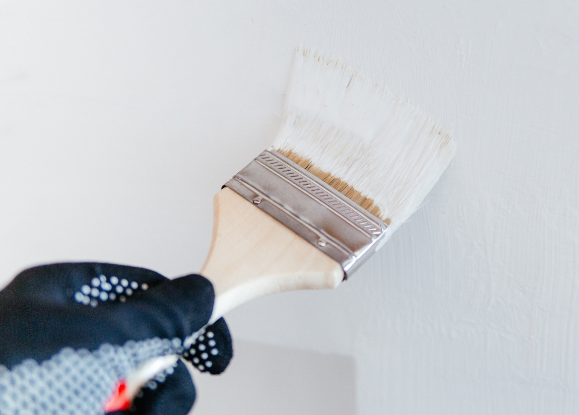 HomeShield Dampstop Elasto | Dampproofing | Berger Paints