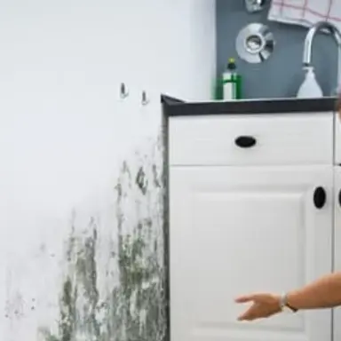 Moisture Meter - Check Wall Moisture Levels Before Painting