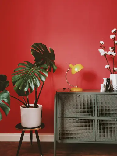 Ruby Colour Palette Insights | Berger Paints