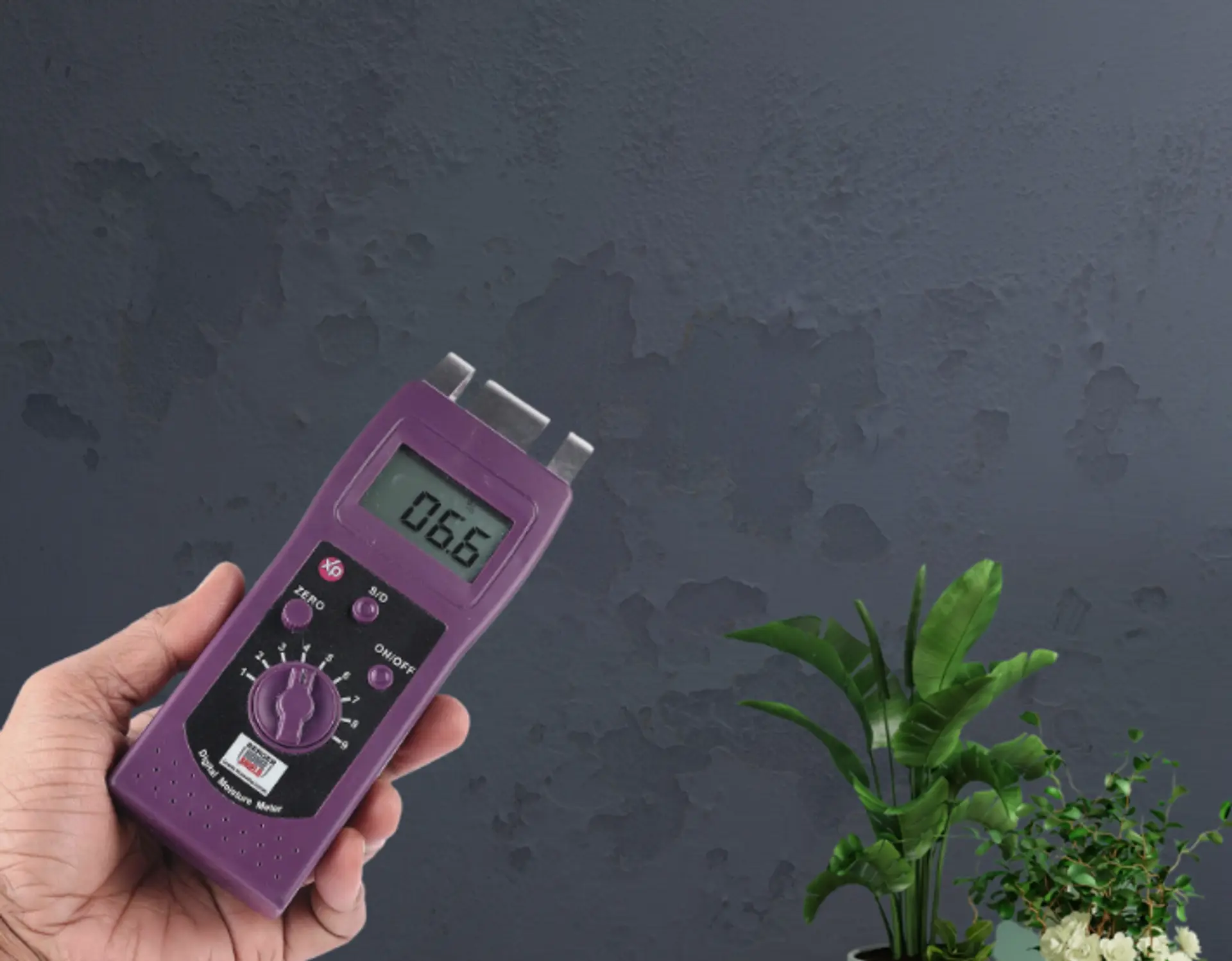 Moisture Meter - Check Wall Moisture Levels Before Painting