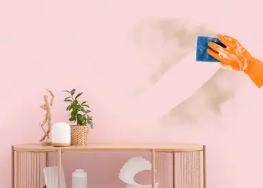 Interior Wall Paint Colours & Emulsion Paint for Home