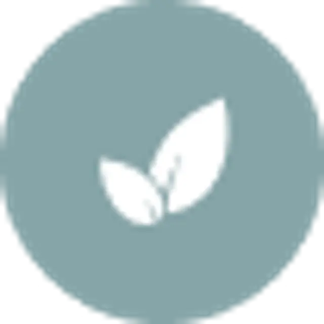 Ruff n Tuff Pearl Exterior Wall Texture | Berger Paints