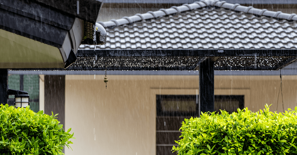blog_image