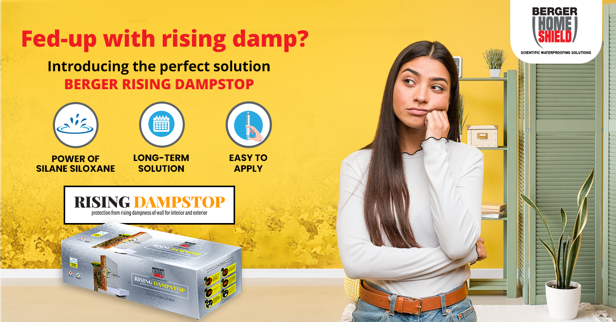 Berger Homeshield Rising Dampstop â€“ A Scientific Solution For Rising Dampness In Your House