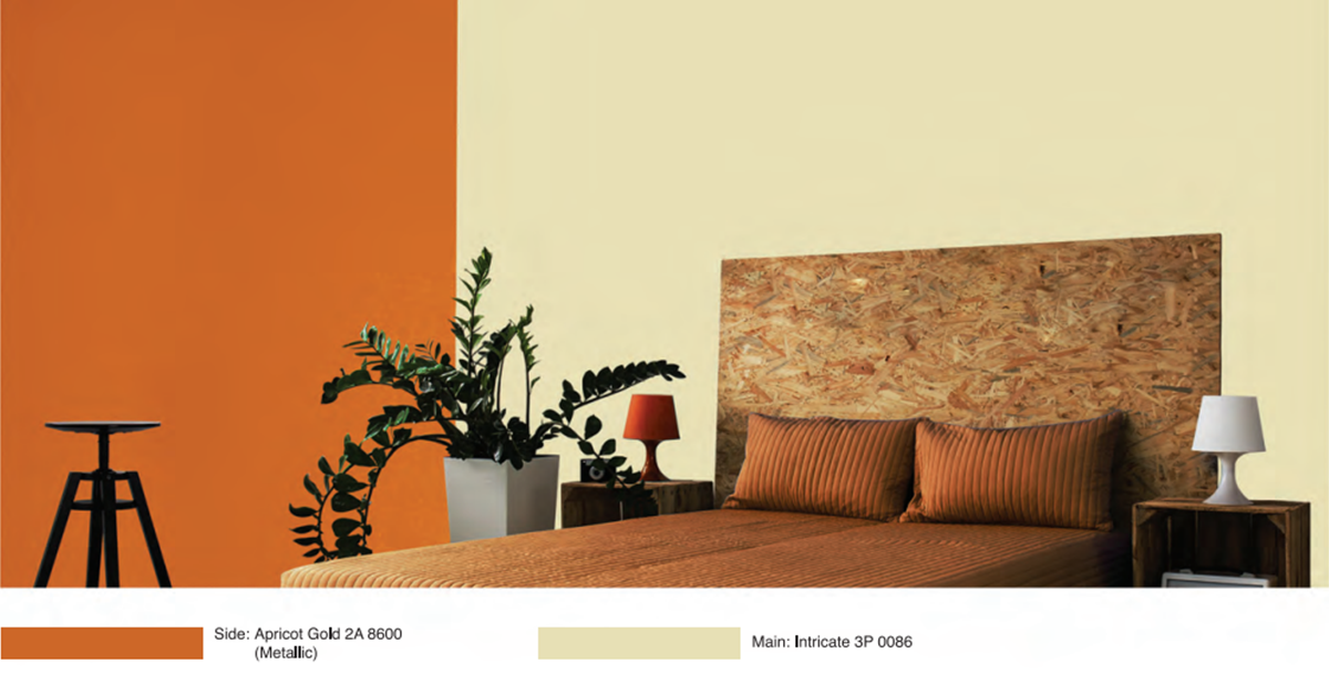 Beautiful Two Colour Combination Ideas for Your Home
