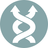 HomeShield Dampstop Elasto | Dampproofing | Berger Paints