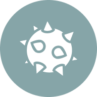 Ruff n Tuff Exterior Wall Textures | Berger Paints