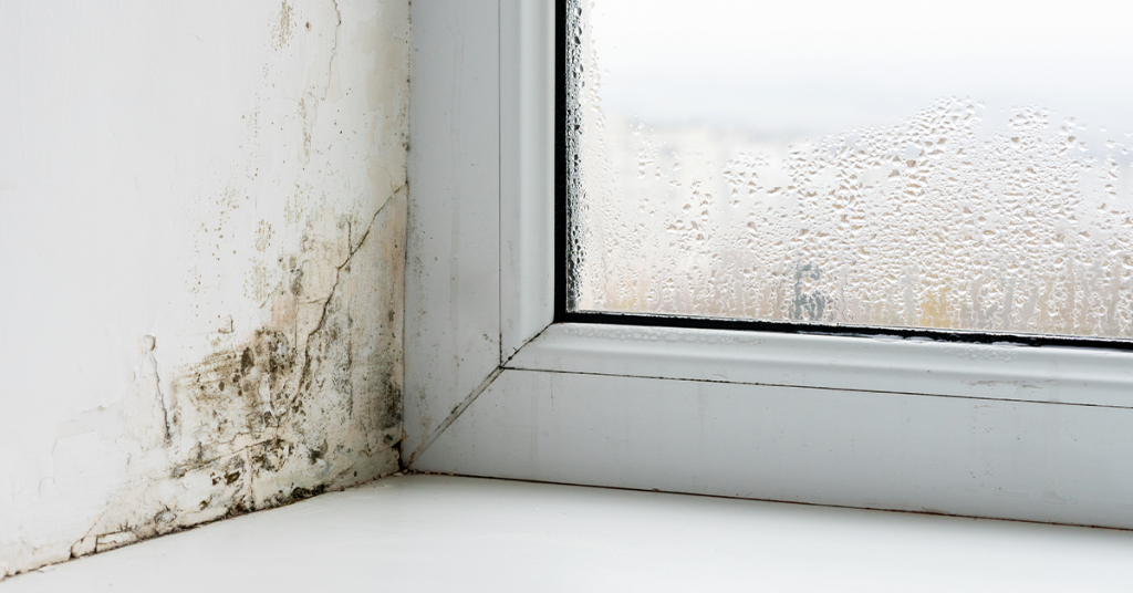 Berger Dampstop Advanced: A Wall Waterproofing Guide For Homes