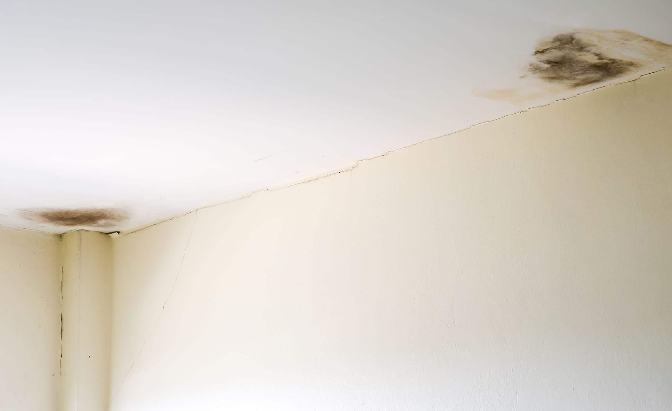 Dampstop Duo vs. Dampstop Advanced: Best Waterproofing Solutions for ...