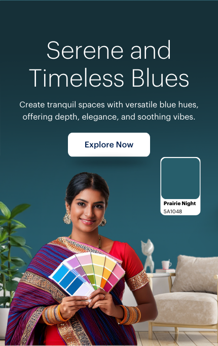 Blue Wall Paints - 200+ Blue Colour Shades for Wall