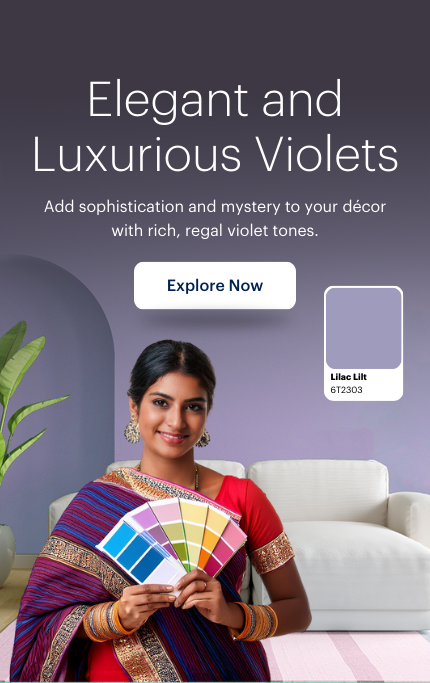 Violet Wall Paints - Violet Colour Shades & Wall Paint Combinations
