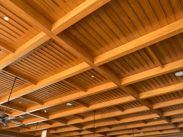 Expert Tips to Pick the Best Border Paint Colour for Your House