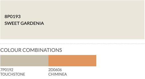 Warm White Paints - Perfect Neutral Choices